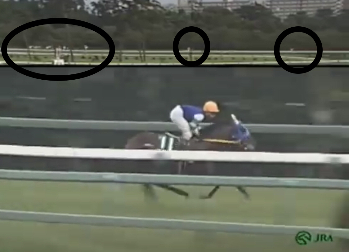 春秋分去年dsc到底是不是慢逃 NGA玩家社区