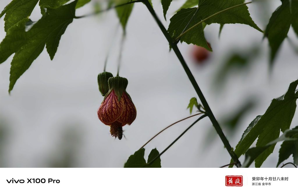 x100pro拍照怎么设置才好看啊。。 NGA玩家社区