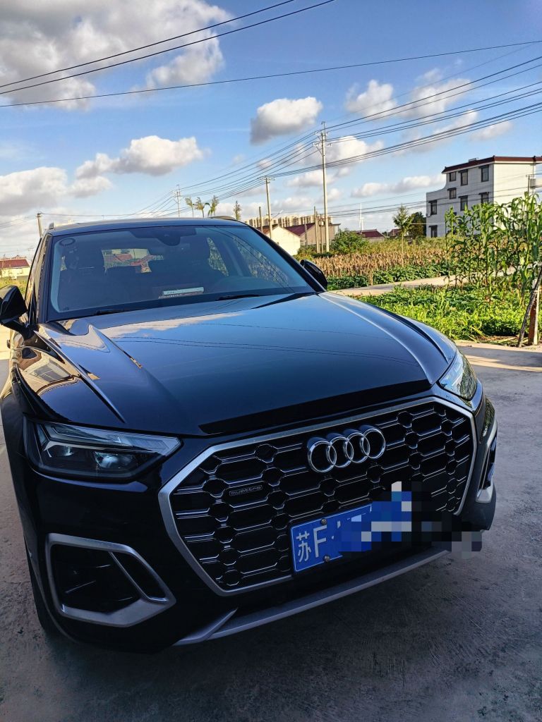 听说奥迪q5l异味特别大？ NGA玩家社区