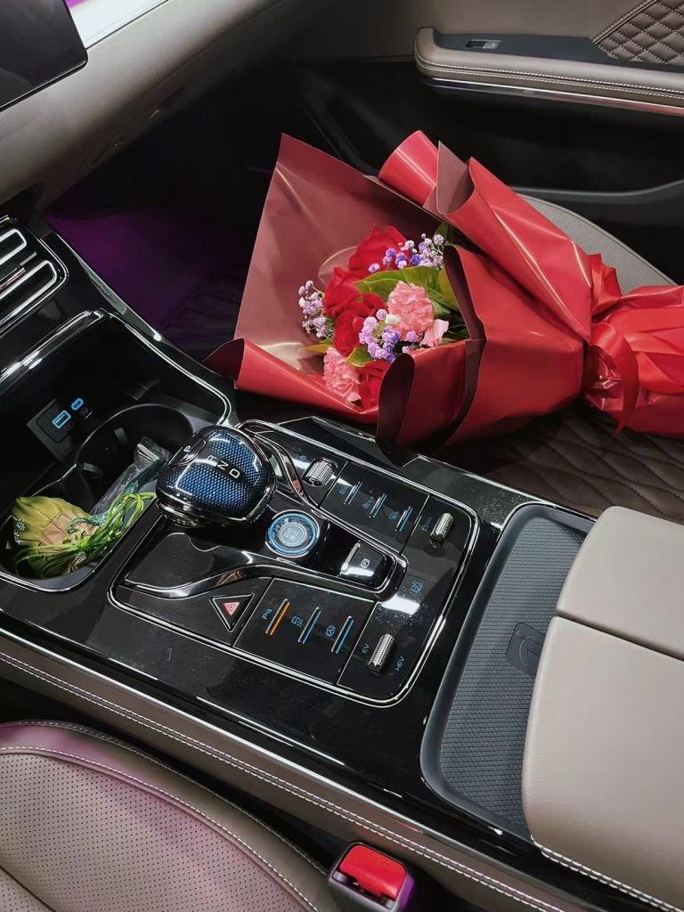 汉dmi提车防1血 178