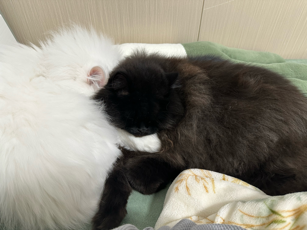 聊天12h！ NGA玩家社区