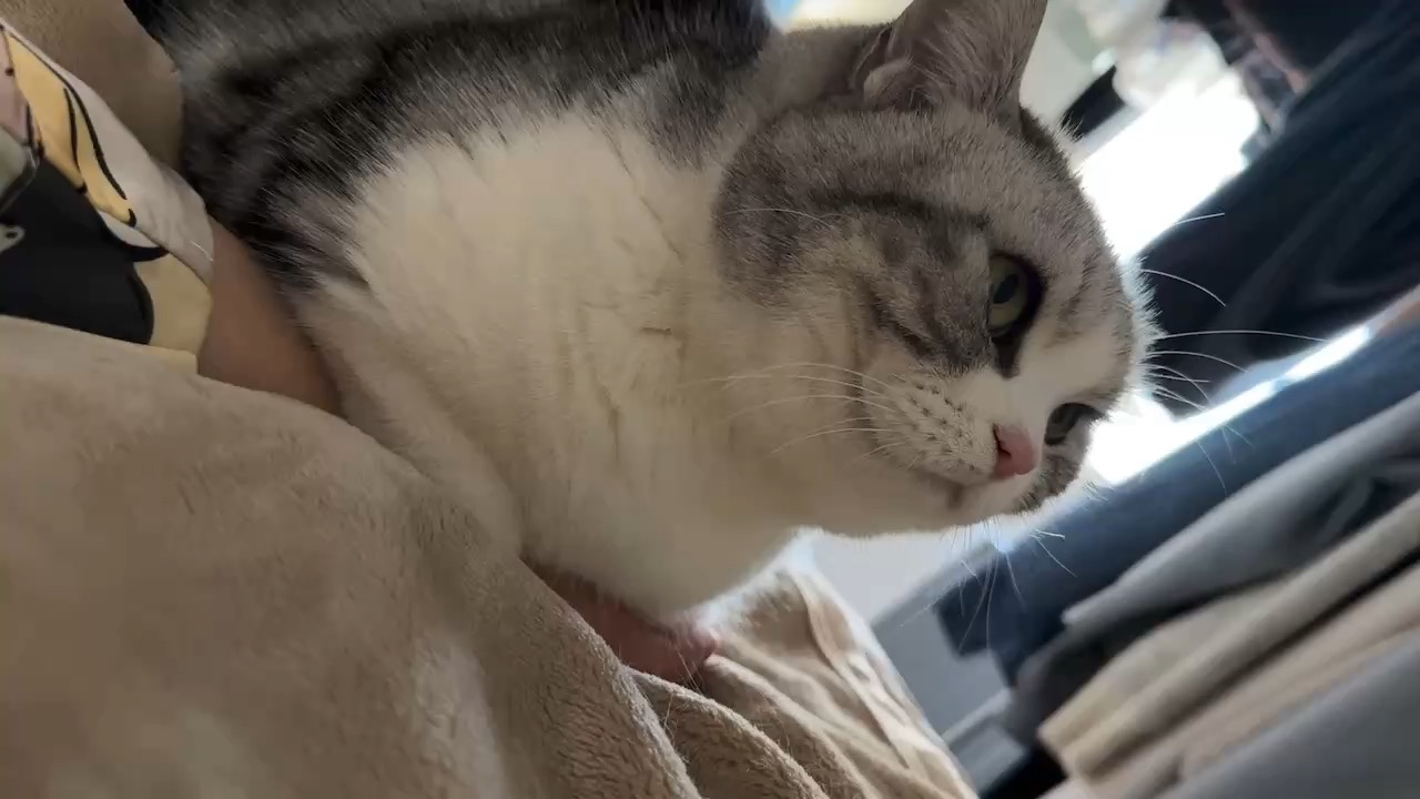 大佬们 3s曲好 还是3s露娜好 NGA玩家社区