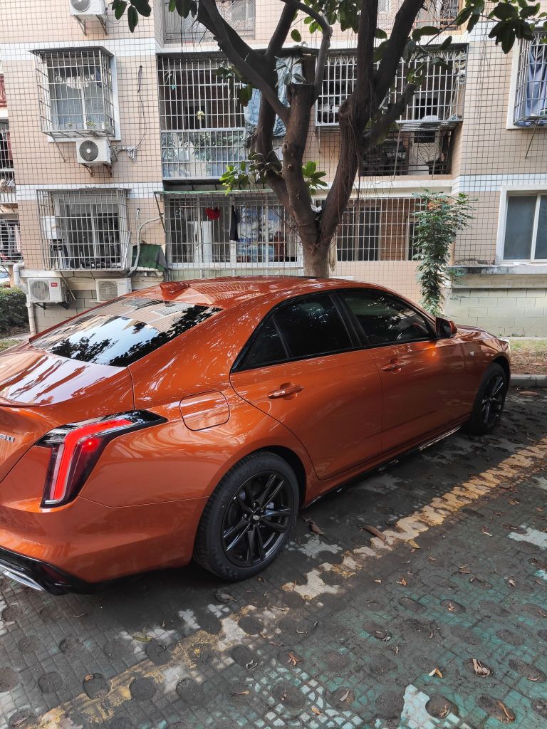 ct4勒芒橙提车作业 NGA玩家社区