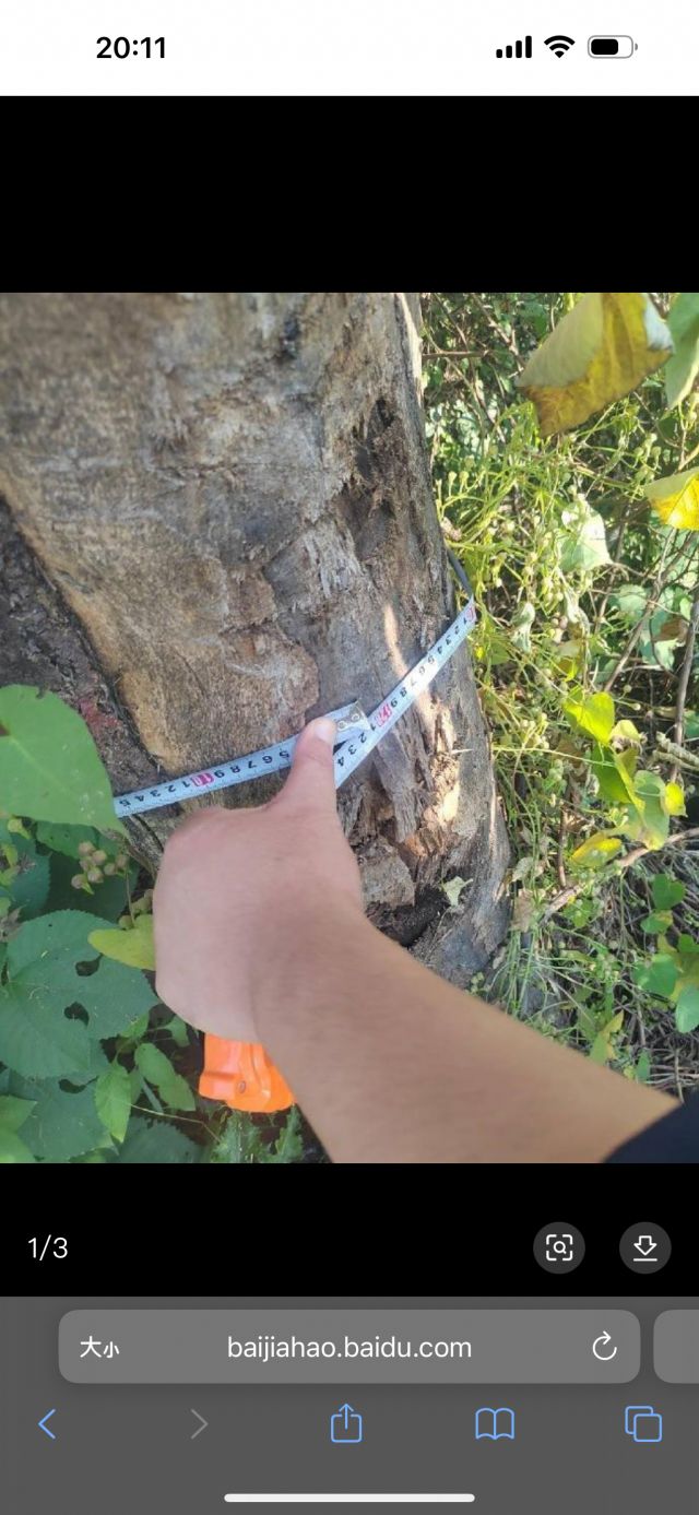 小牛说车理想l7用80码撞半挂 NGA玩家社区