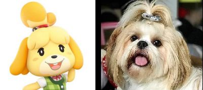 [furry氵]来分享一下你的福瑞相关xp和判定界限吧 NGA玩家社区