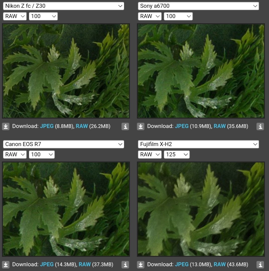 zve10跟z30差距大么 178