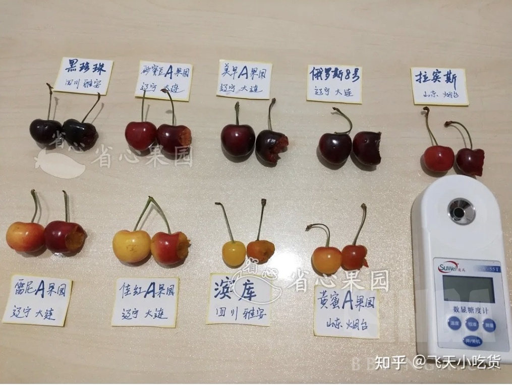 [肝胆涂地]舰娘大法好！舰队collection快速入门指南Mk.3改 Model 2024 NGA玩家社区