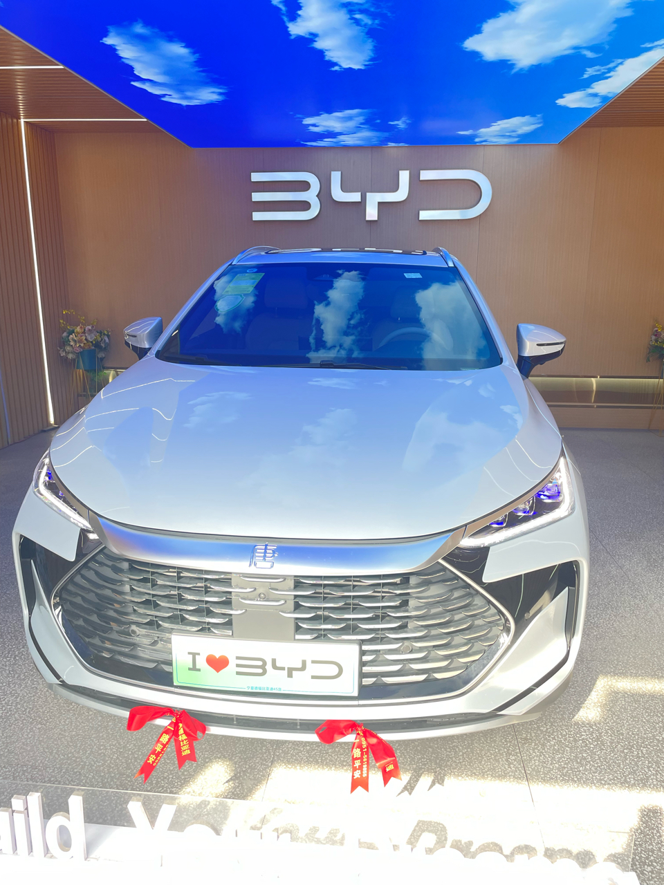 唐dmi荣耀提车防一血 178