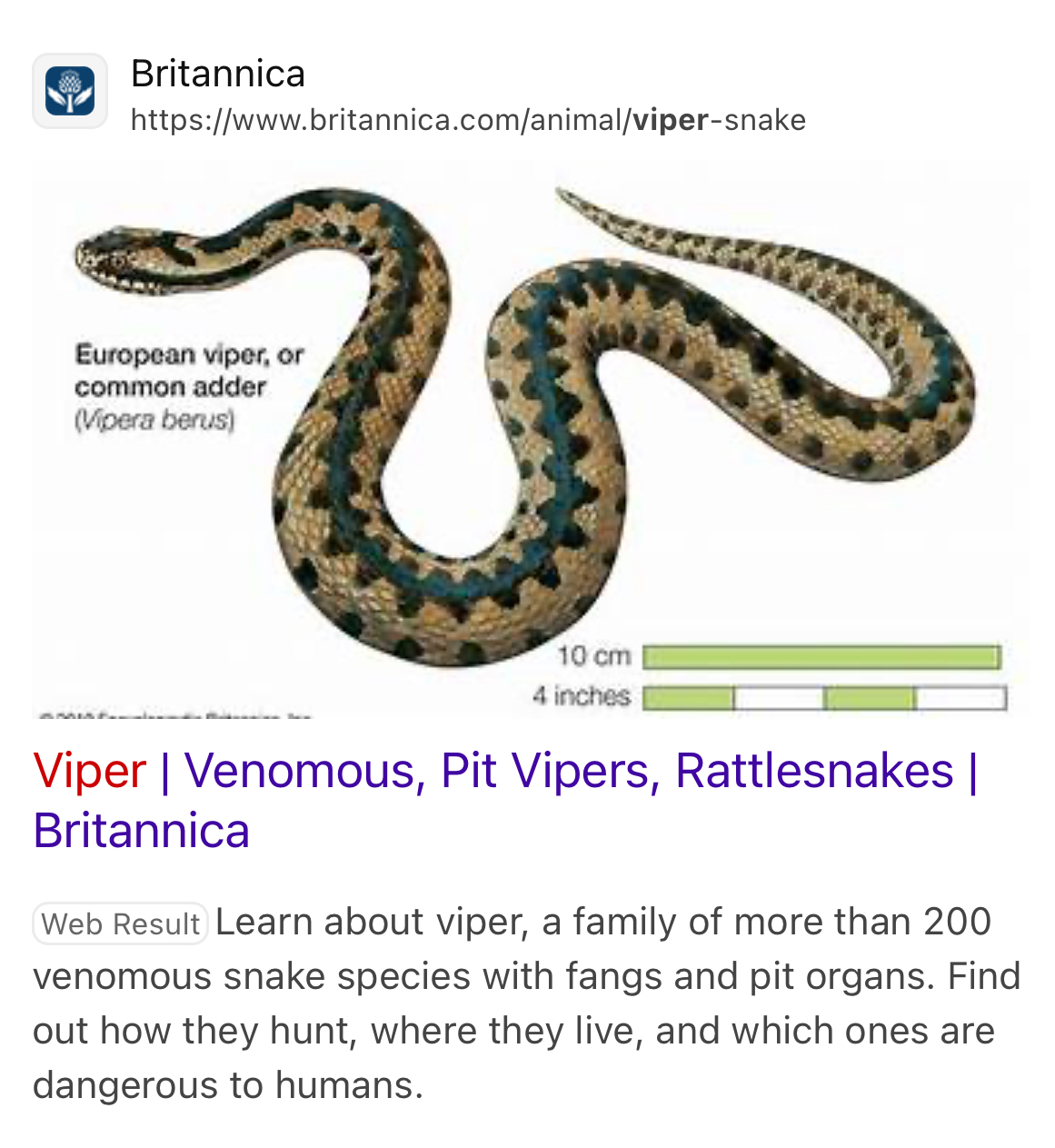 [剧情讨论] 关于新剧情里的小鲸鱼被称为Viper NGA玩家社区