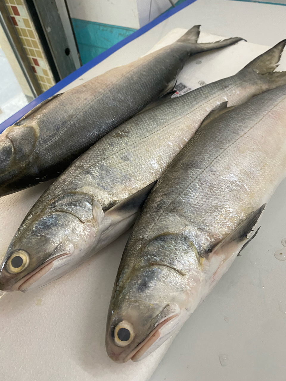 收个13pro 256g的。 NGA玩家社区