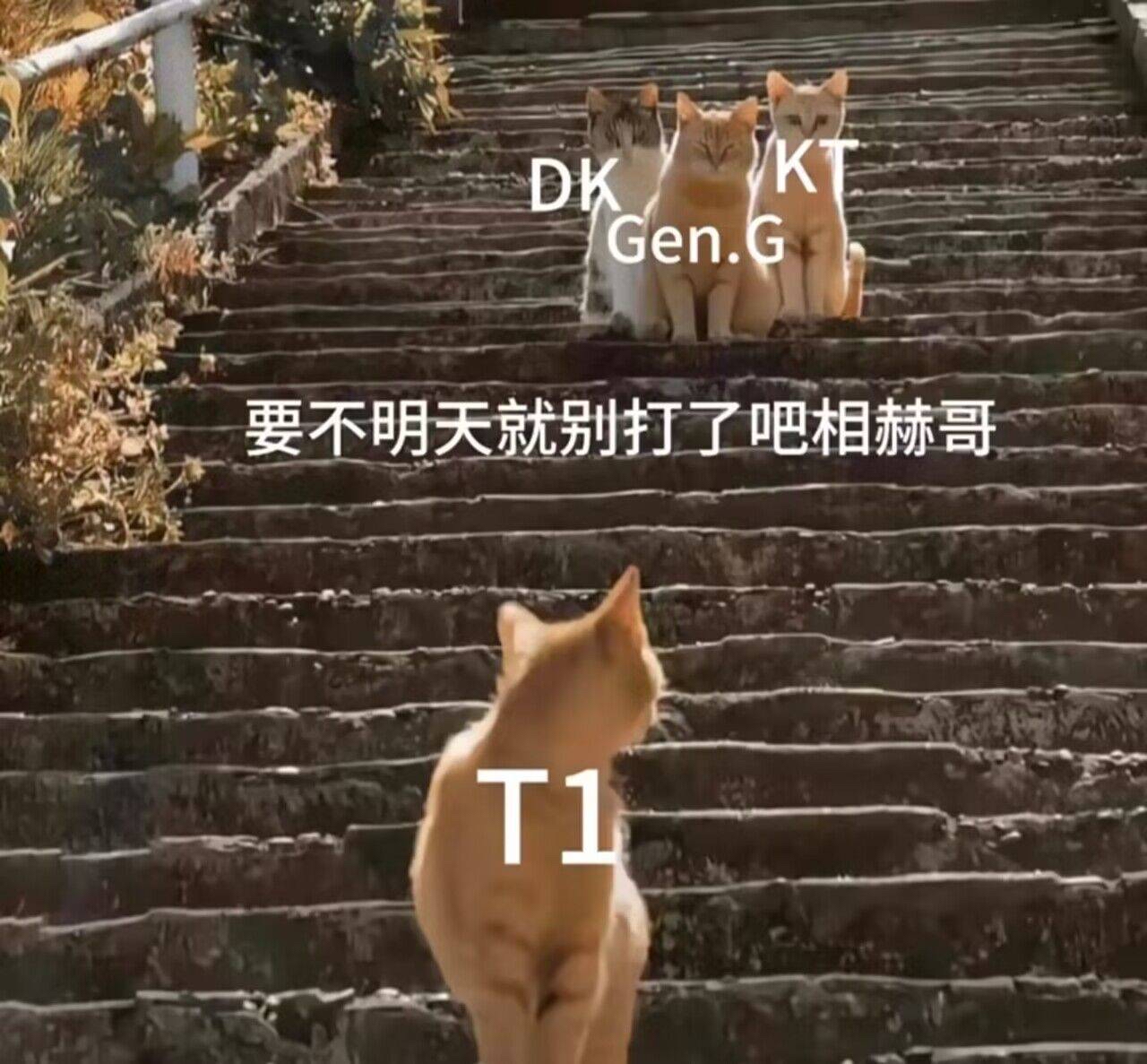 [联盟赛事] 竟然还有人觉得s13t1签运好的 NGA玩家社区