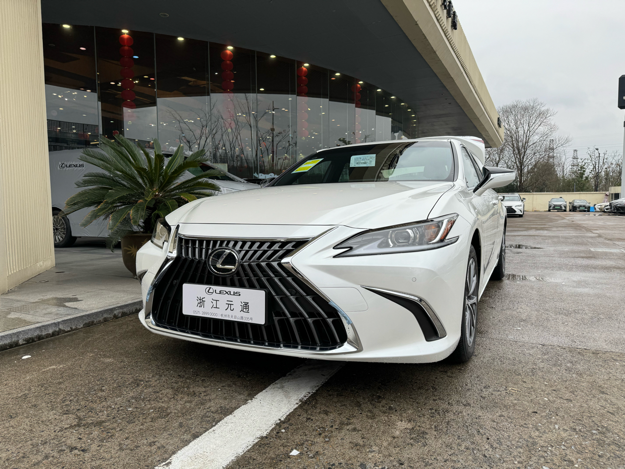 ES300H,焕新版model3提车作业 NGA玩家社区