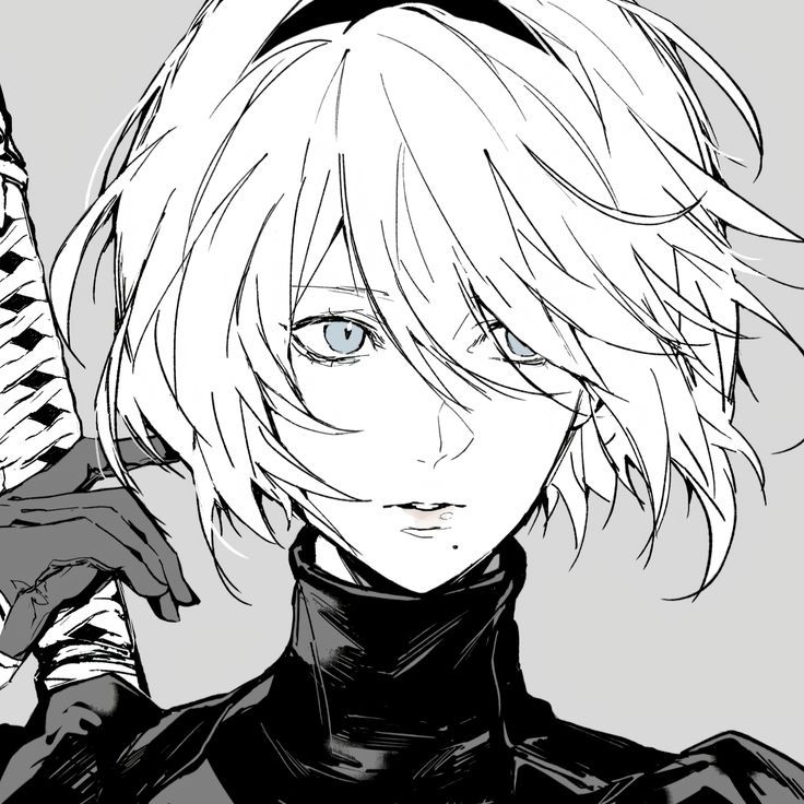 2b。。。 178