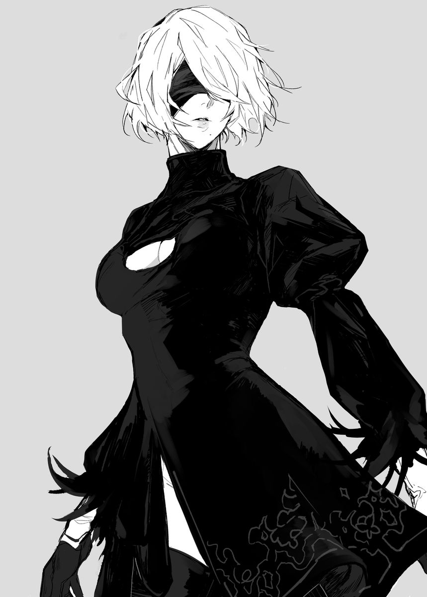 2b。。。 NGA玩家社区