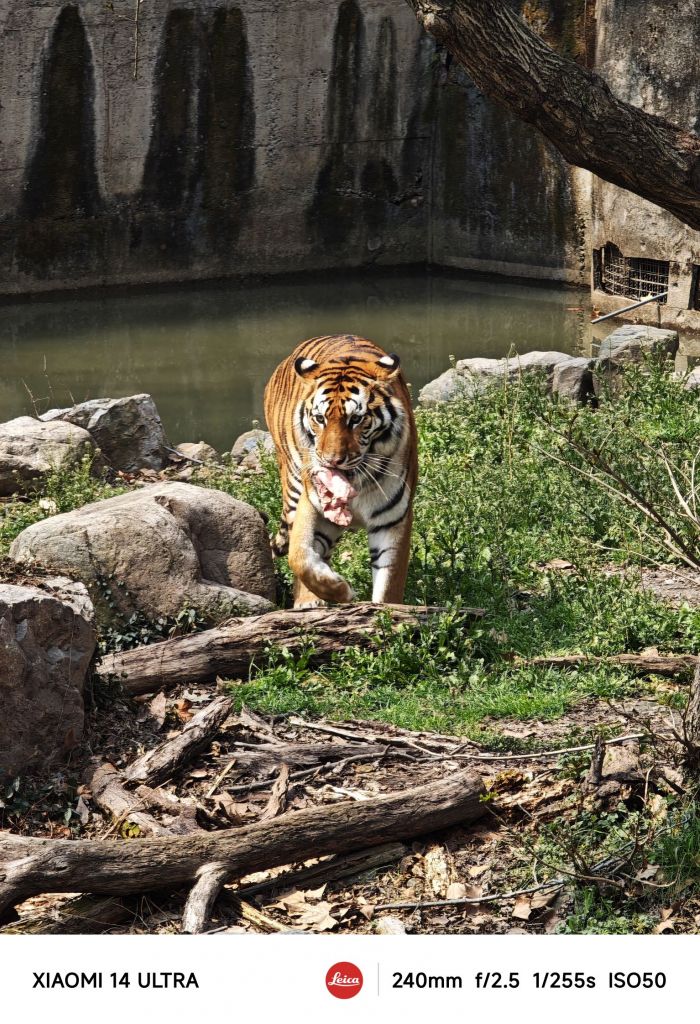 用14u拍动物园第二季 NGA玩家社区