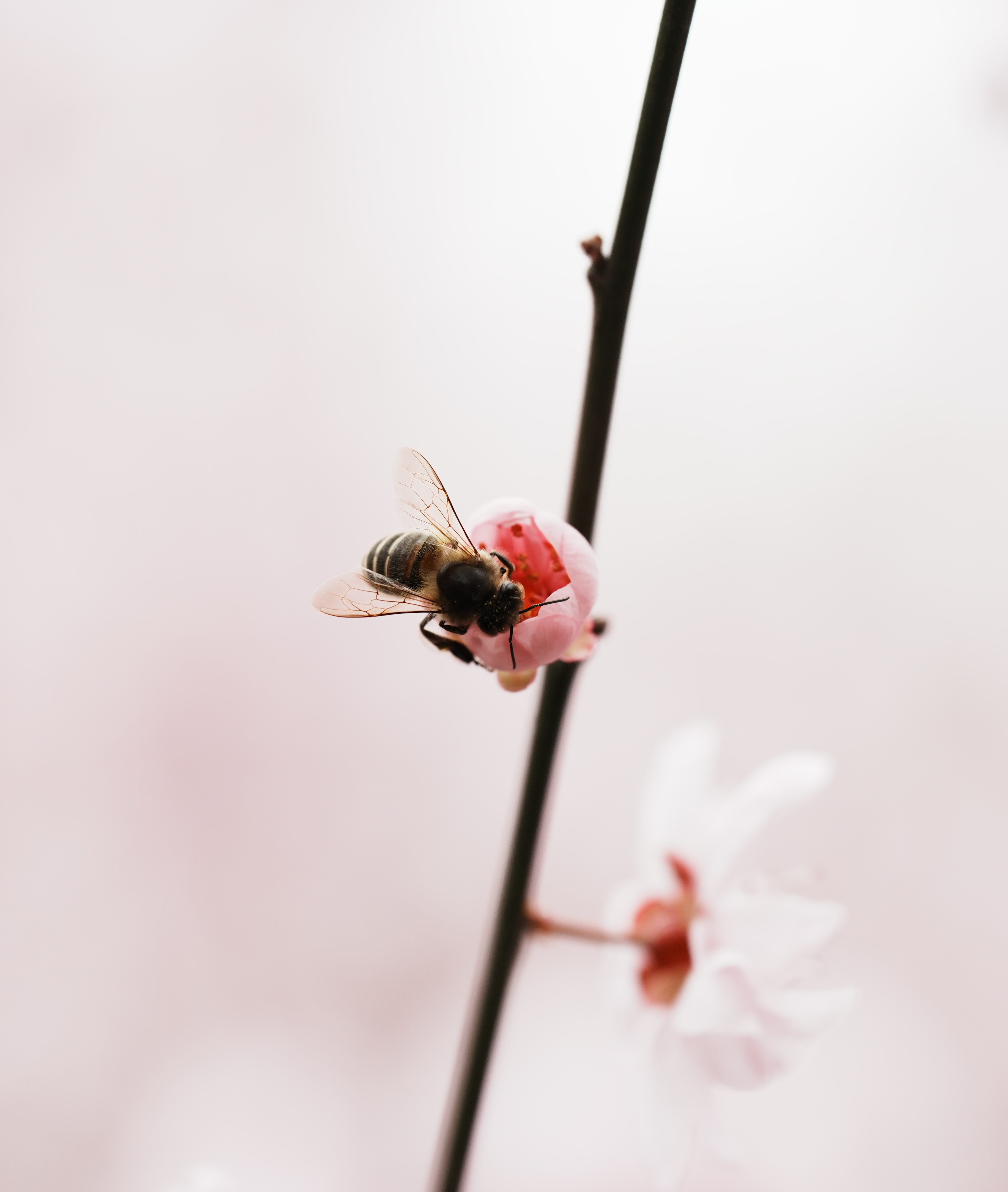 70-200g2相关(已完结) NGA玩家社区
