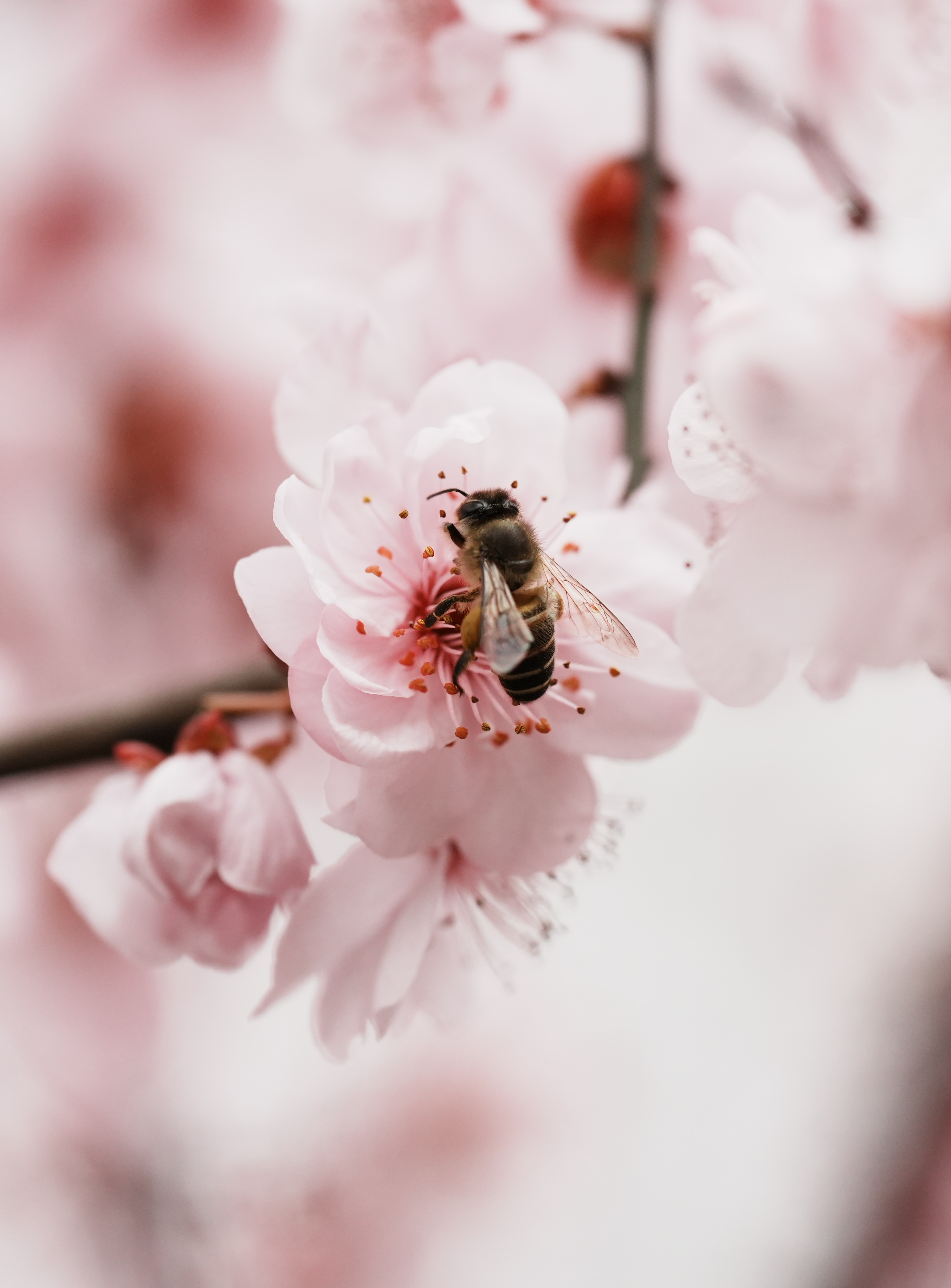70-200g2相关(已完结) NGA玩家社区