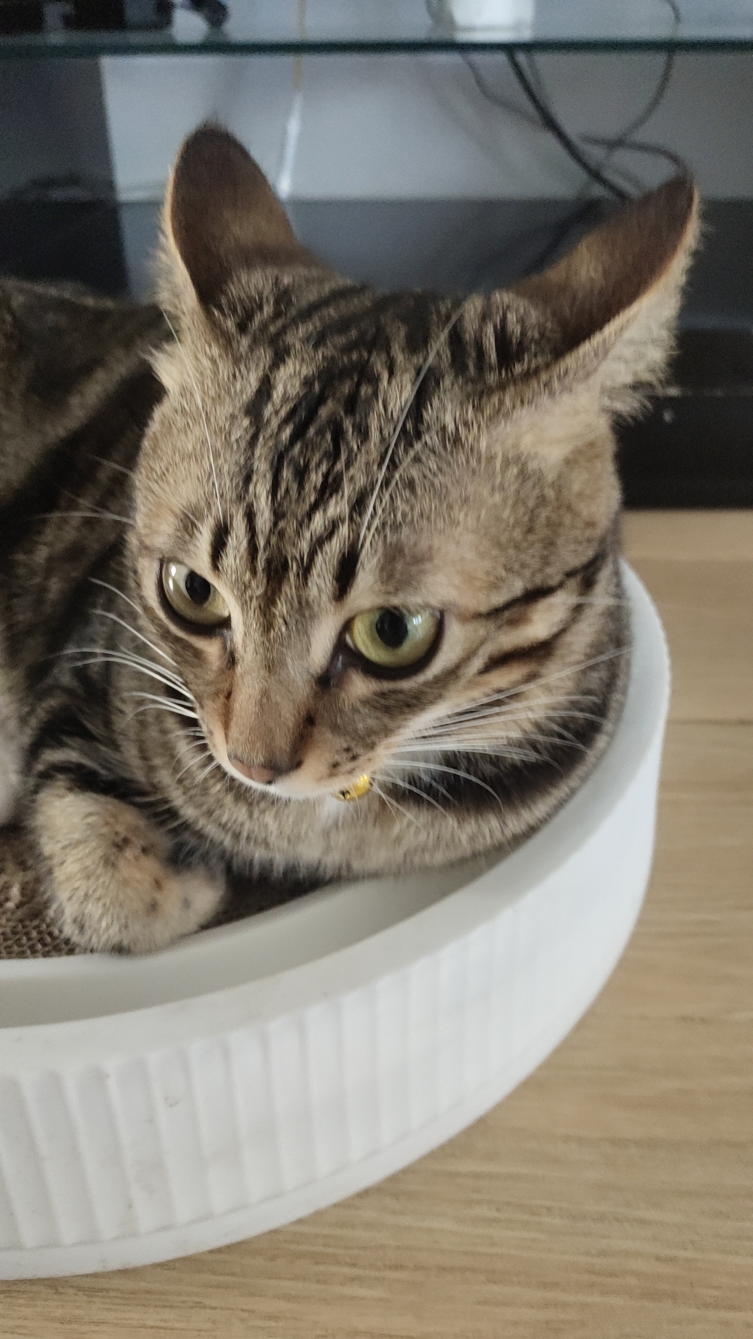 neo7更新了ai作画，发两张对比图 NGA玩家社区