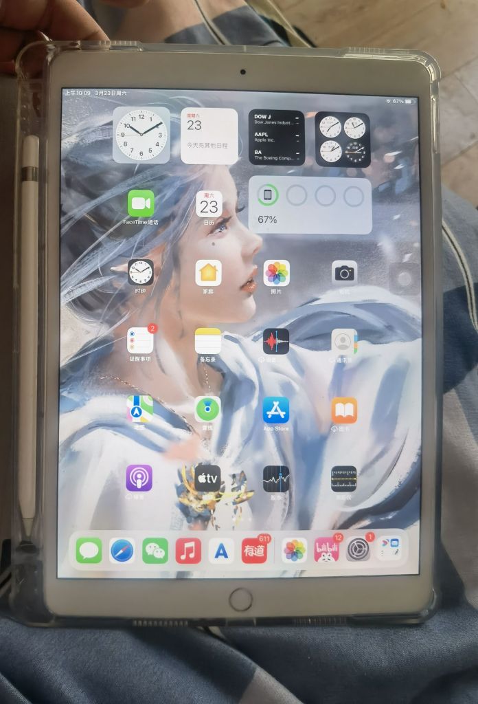 自用ipad air3 NGA玩家社区