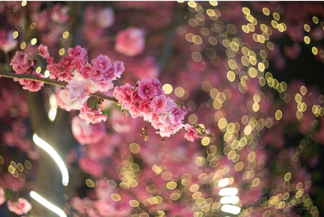 预算2.5-3w准备换机了，有大佬可以给个推荐吗 NGA玩家社区