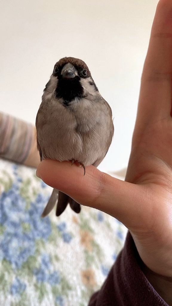 这算什么样的xp NGA玩家社区