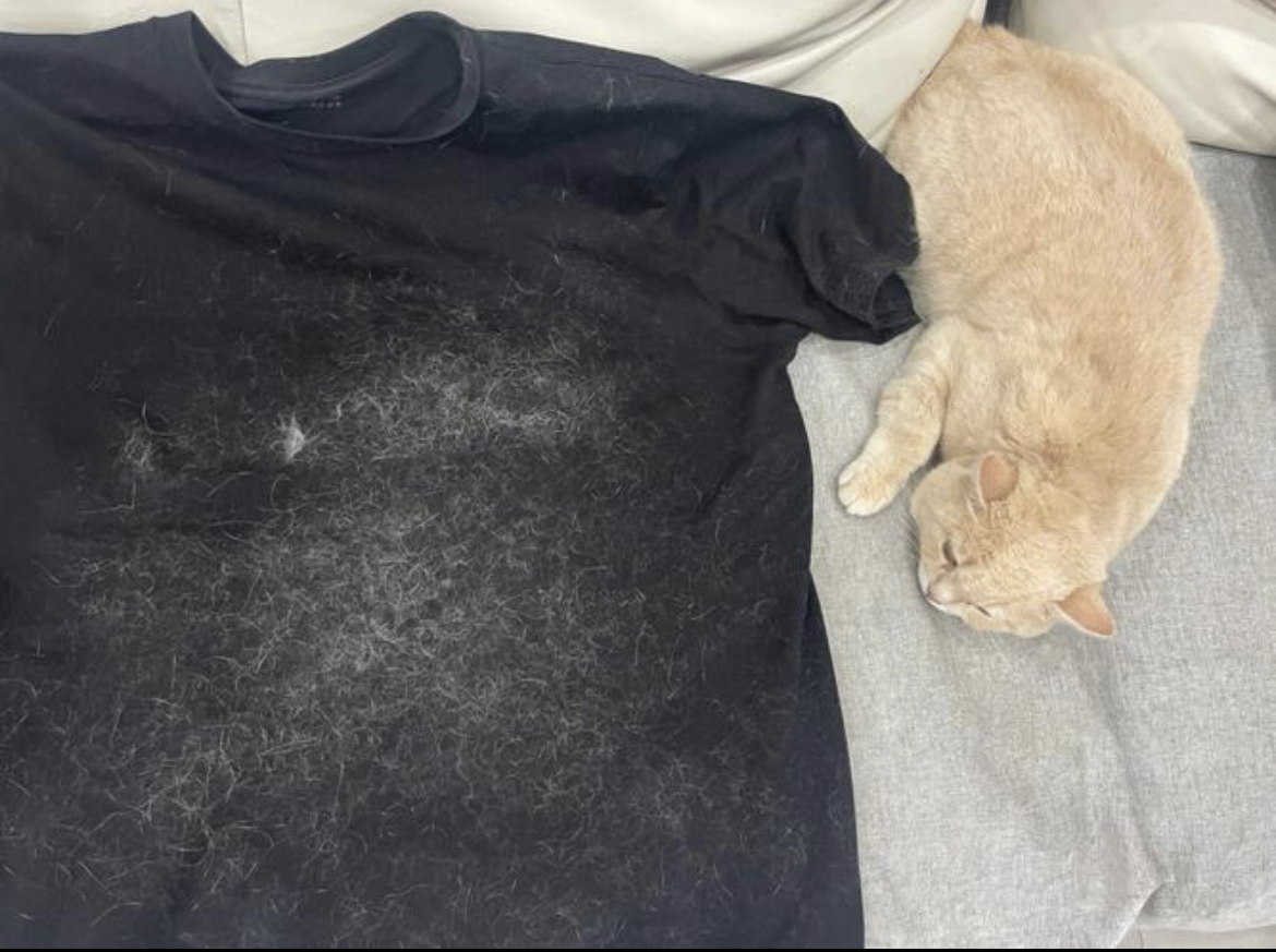 这算什么样的xp NGA玩家社区