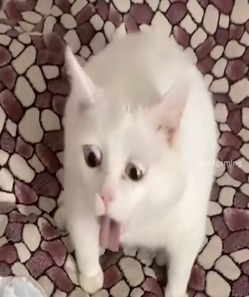 3个月时间给网恋女友花了4w+ NGA玩家社区