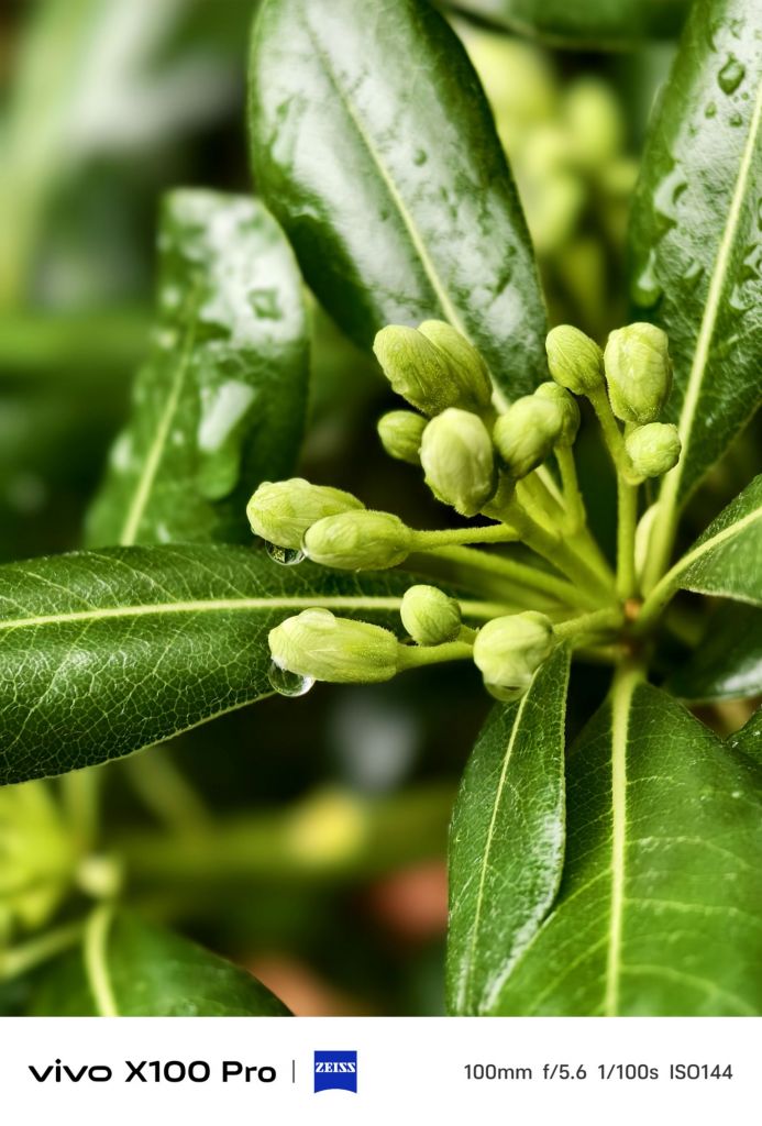 手机决赛圈x100p，iq12p，魔法6p NGA玩家社区