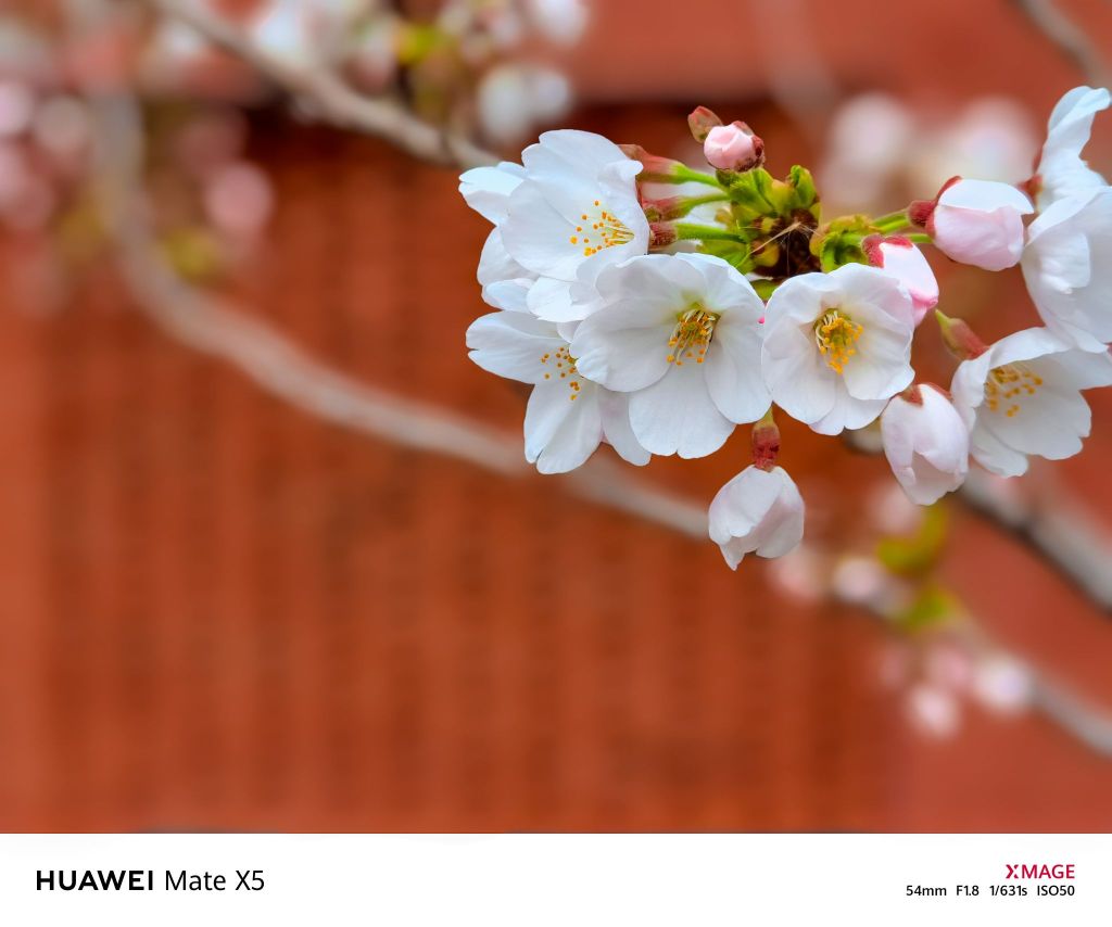 用最后一波X5的照片祭出P70(再加几张RS的) 178