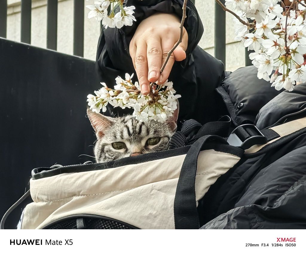 用最后一波X5的照片祭出P70(再加几张RS的) 178