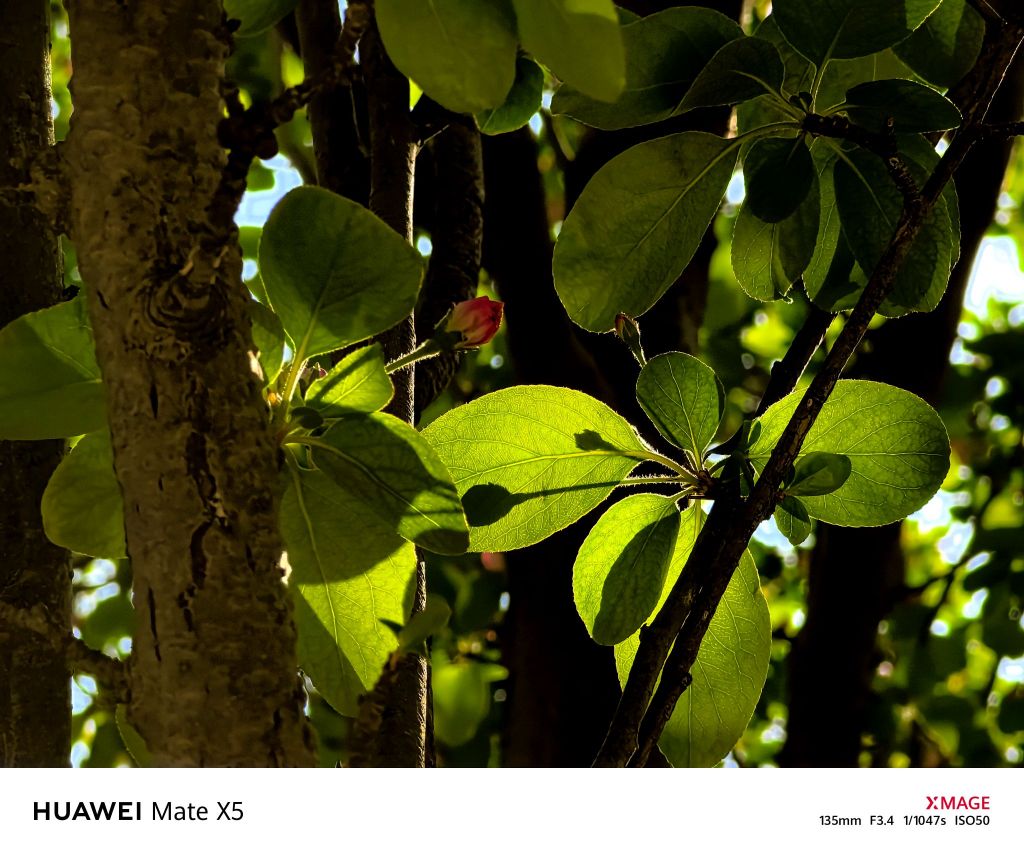 用最后一波X5的照片祭出P70(再加几张RS的) 178