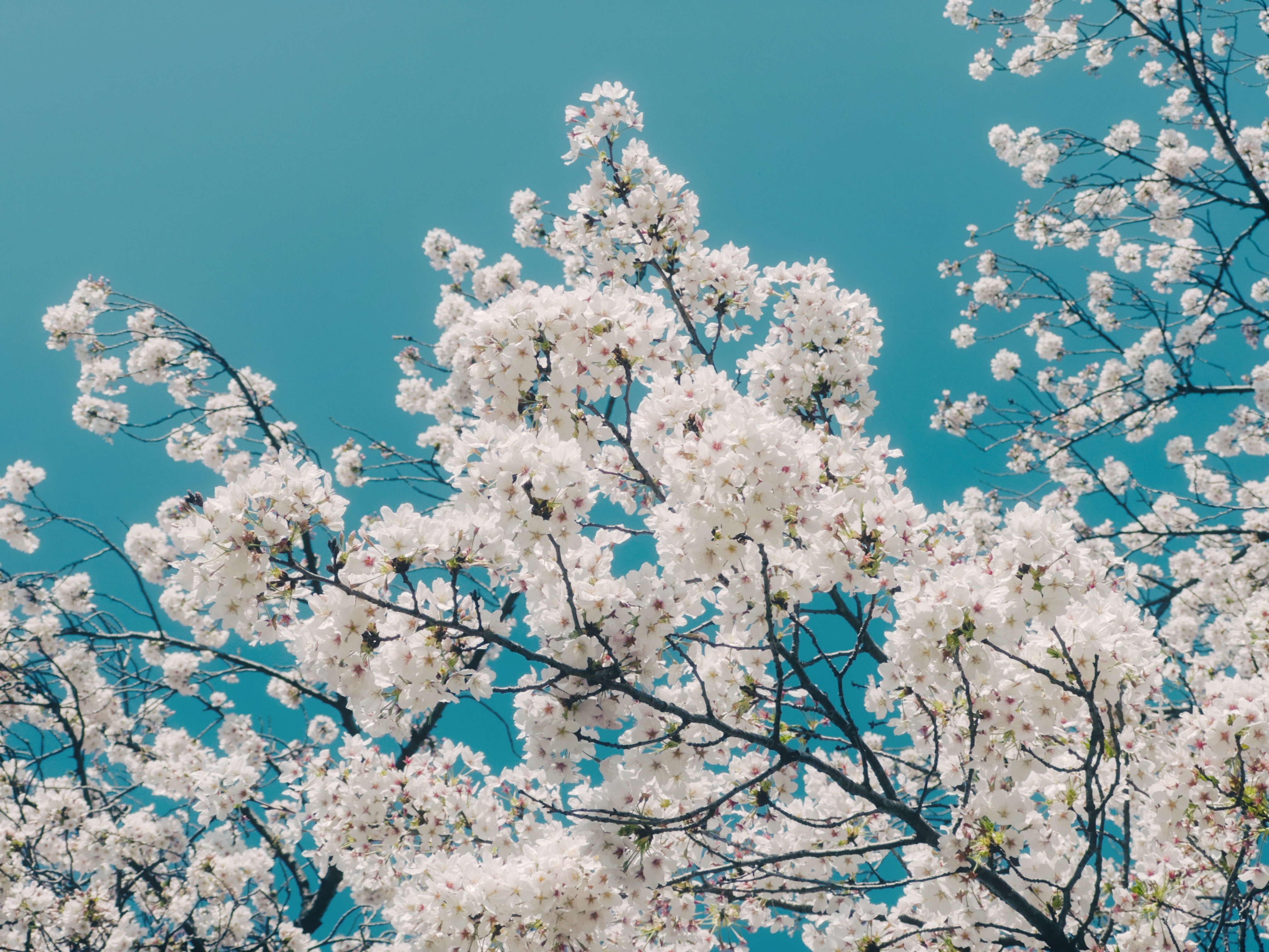 我靠,拿个iPhone拍这么牛逼 NGA玩家社区