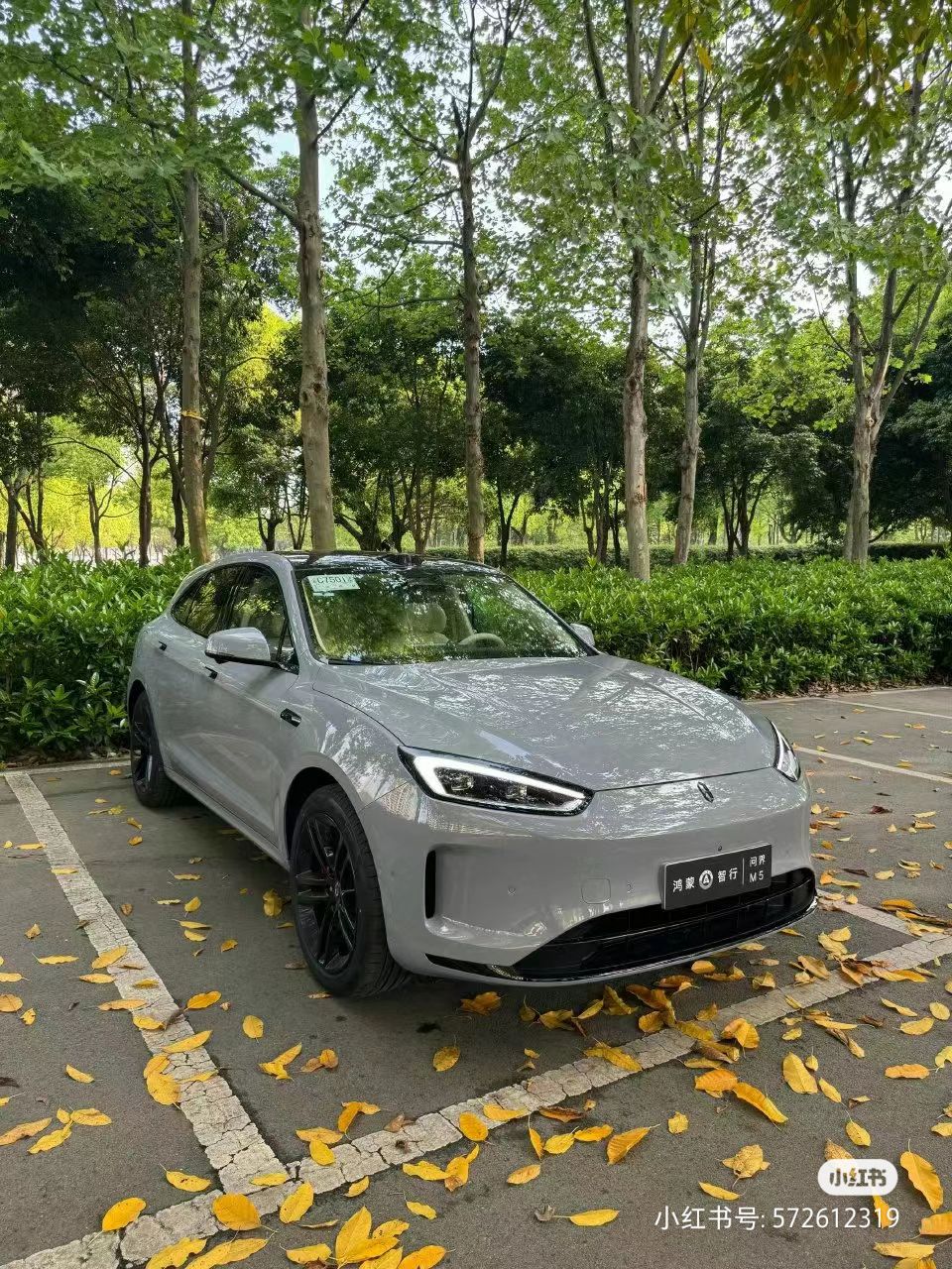 新 M5 ？？ NGA玩家社区