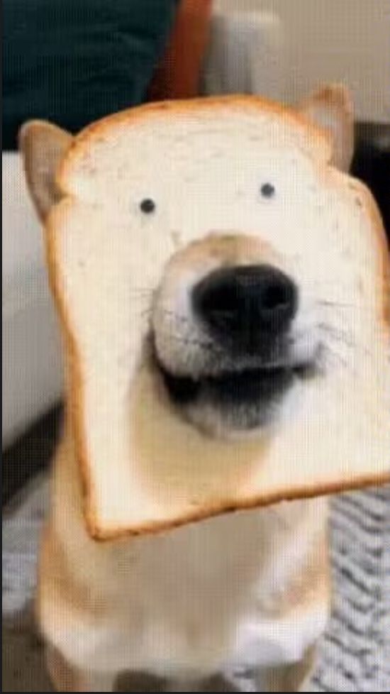 [前瞻氵]这PV诈骗味道太冲了 NGA玩家社区