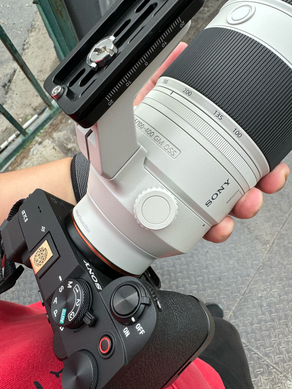 小白新买的a7c2+腾龙2875 记第一次拍鸟 NGA玩家社区