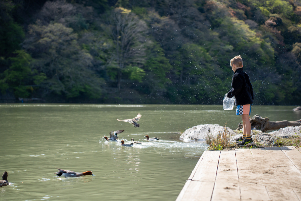 小白新买的a7c2+腾龙2875 记第一次打鸟 178