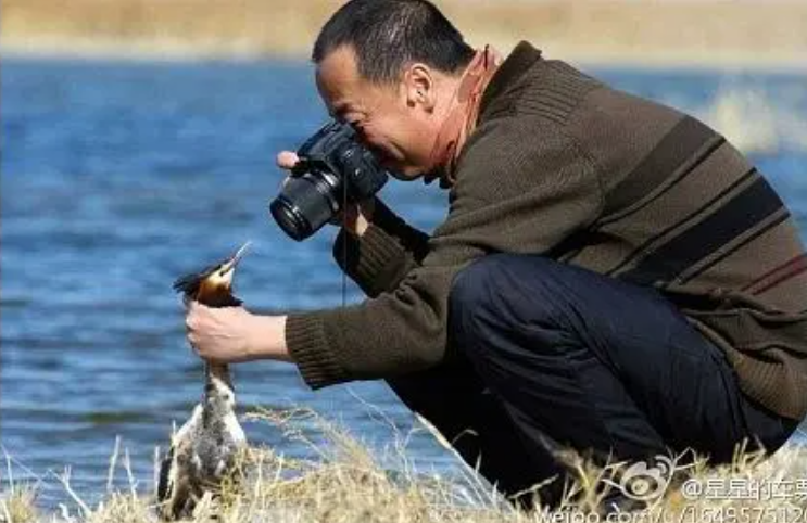 小白新买的a7c2+腾龙2875 记第一次打鸟 178