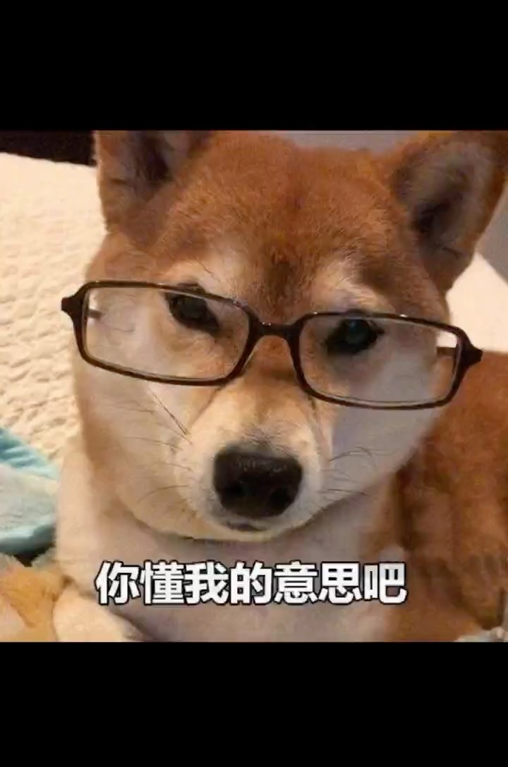 Dk和SS P2-P4前期 达到能打H模式门槛，哪个便宜 NGA玩家社区