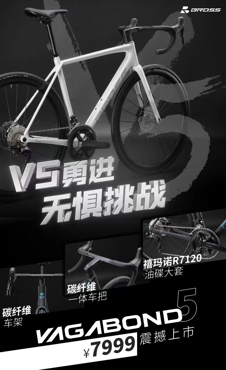 [购车求助]Bross v5和无敌区别大吗 NGA玩家社区