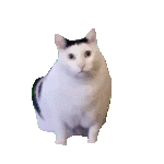 [闲谈交流]如果有一天博士恢复记忆向所有干员讲明一切，干员们会是什么反应？ NGA玩家社区