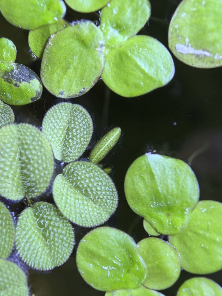我想问问已经在用p70老哥两个问题 178