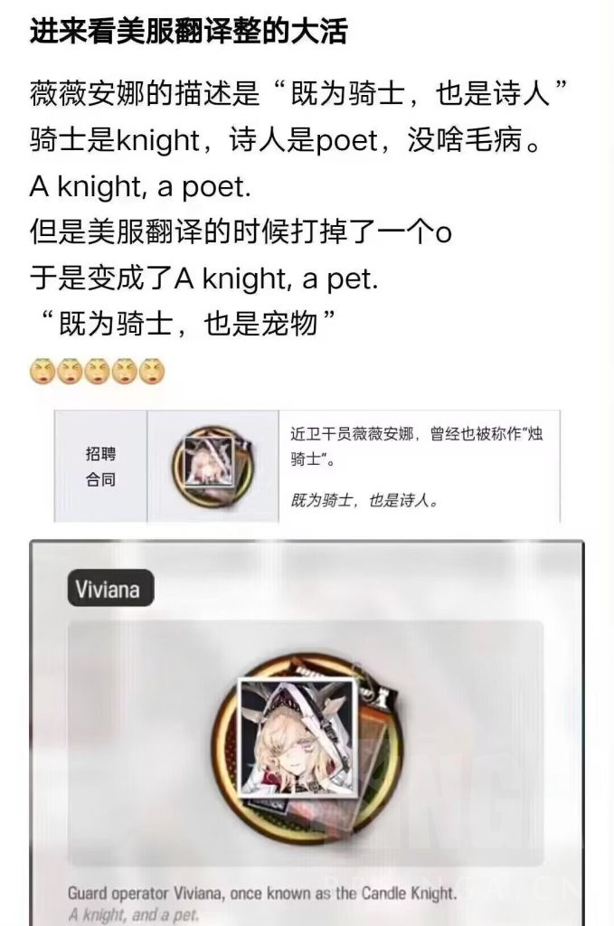 A knight, a pet NGA玩家社区