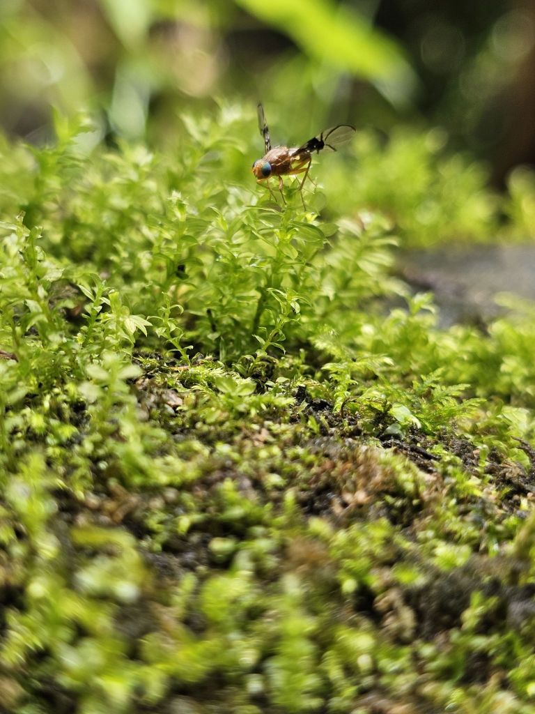 x100的拍照确实牛逼 NGA玩家社区