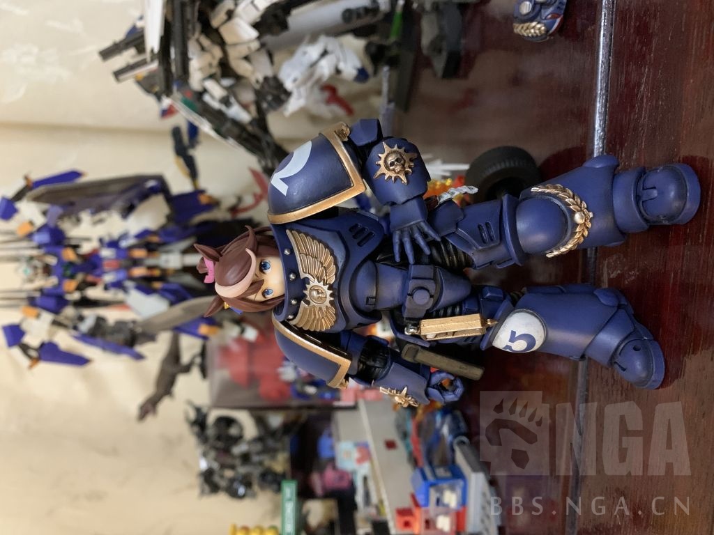 [可动成品]战锤40k与其他ip混搭 178