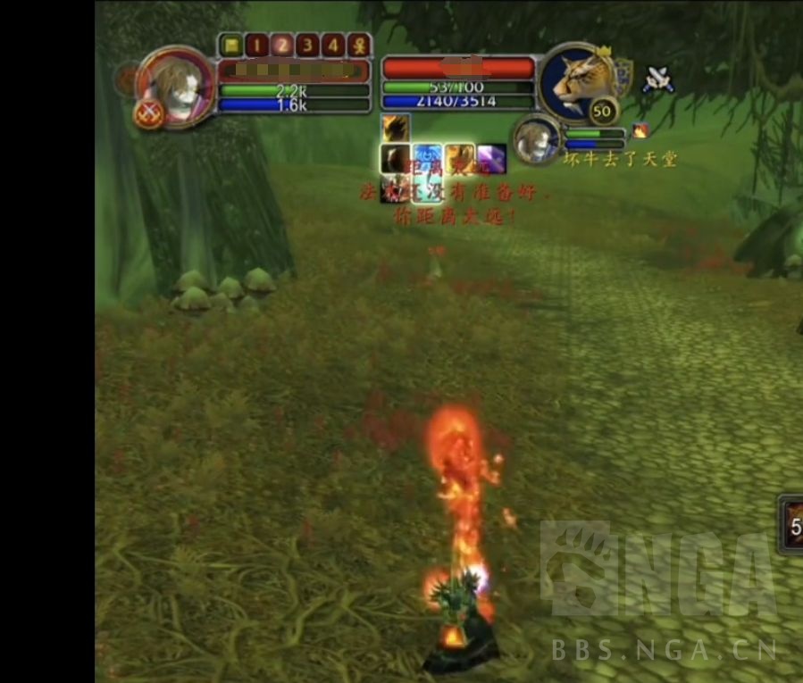 [求助] 求一款 能看到敌对buff的插件 NGA玩家社区