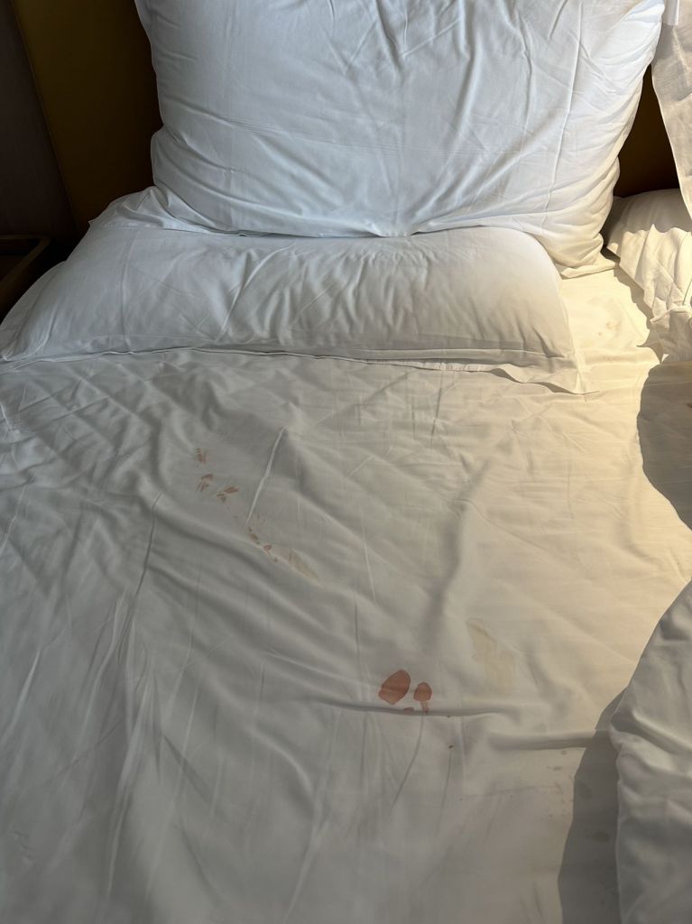 520，许愿看看战场 NGA玩家社区