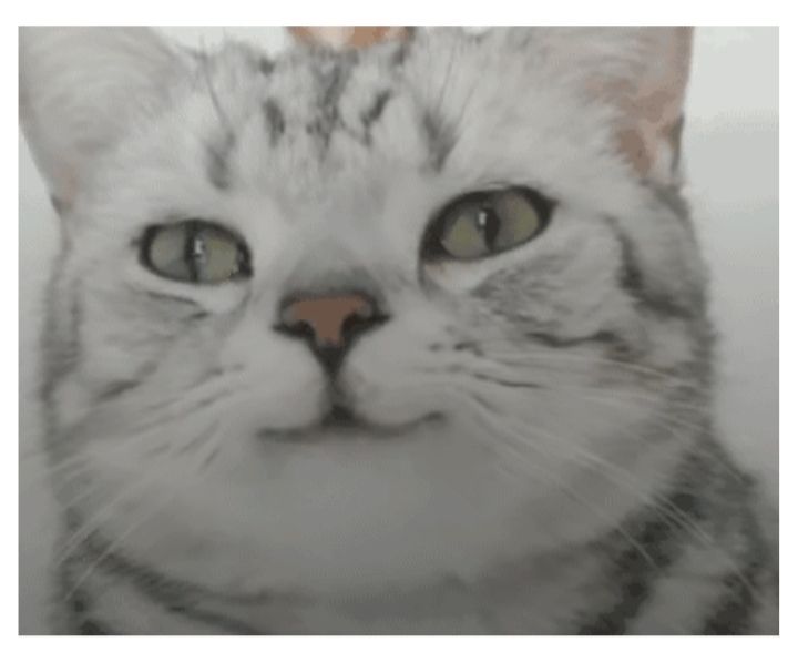 [gbc]486的形象真的太无敌了，我已经词穷了 178