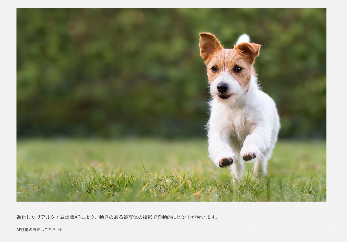 说个搞笑的，日本松下S9官网介绍的样片是直接从素材网站上买的，被人揭发后发道歉信了 178