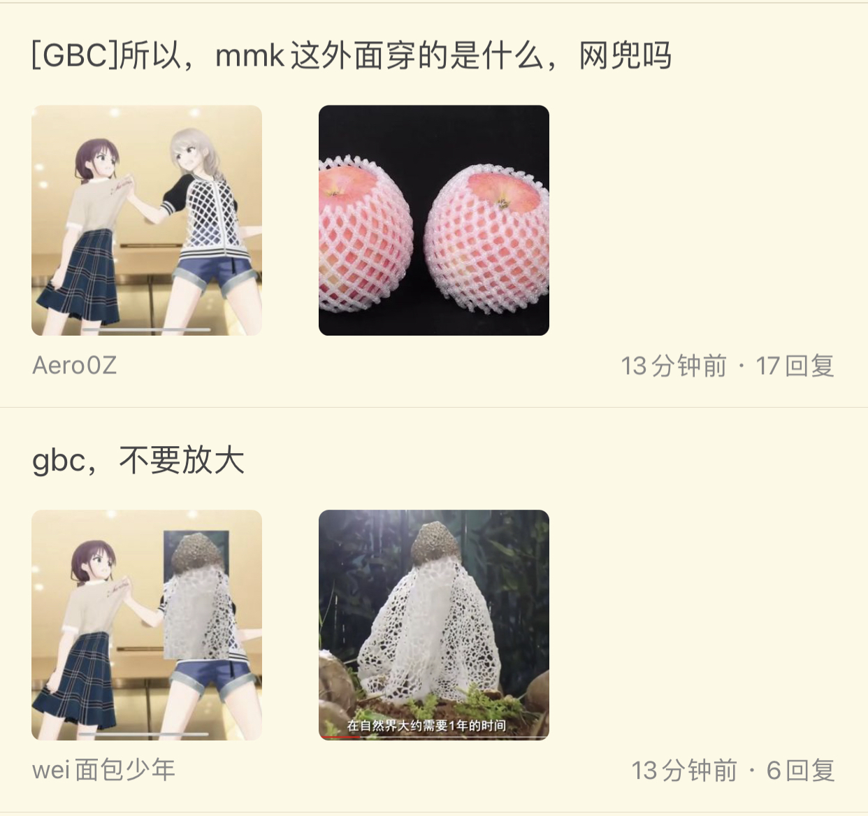 [GBC]所以，mmk这外面穿的是什么，网兜吗 178