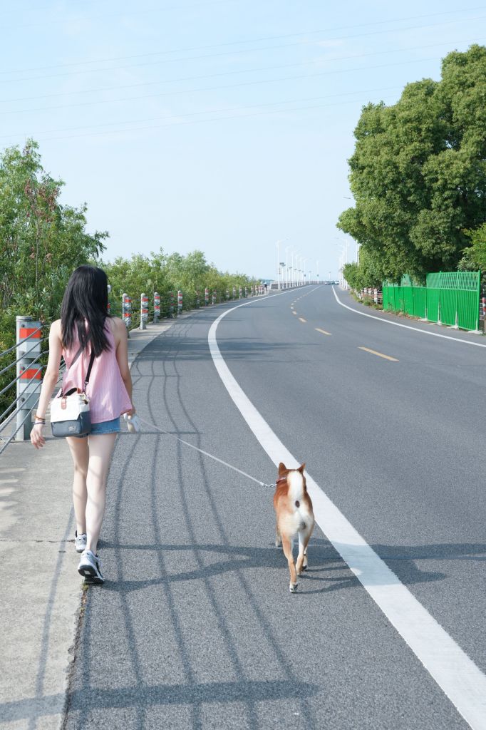 预算1w5的全画幅决赛圈 NGA玩家社区